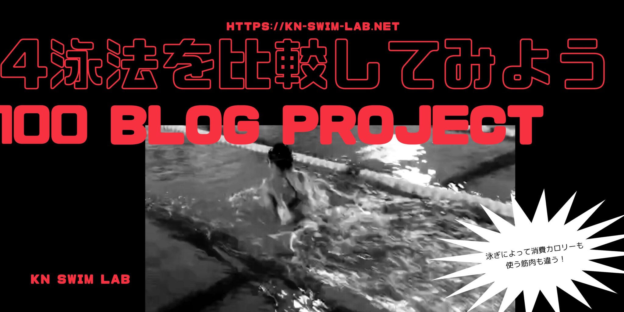 4泳法を比較してみよう | 水泳個人レッスン KN Swim Lab