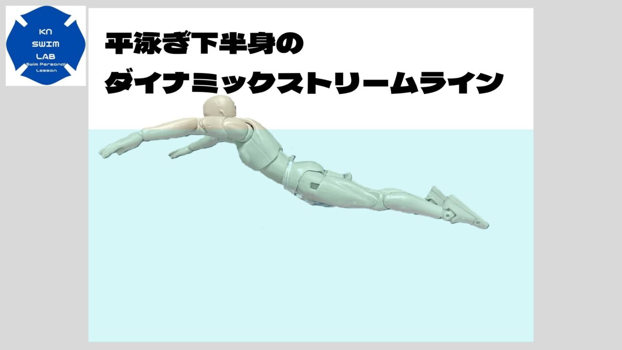 ダイナミックとスタティック | 水泳個人レッスン KN Swim Lab